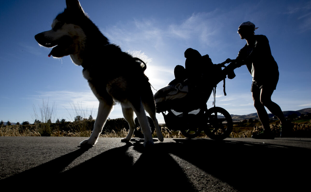 BYU column: Why your spinal health and body composition will compel you ...